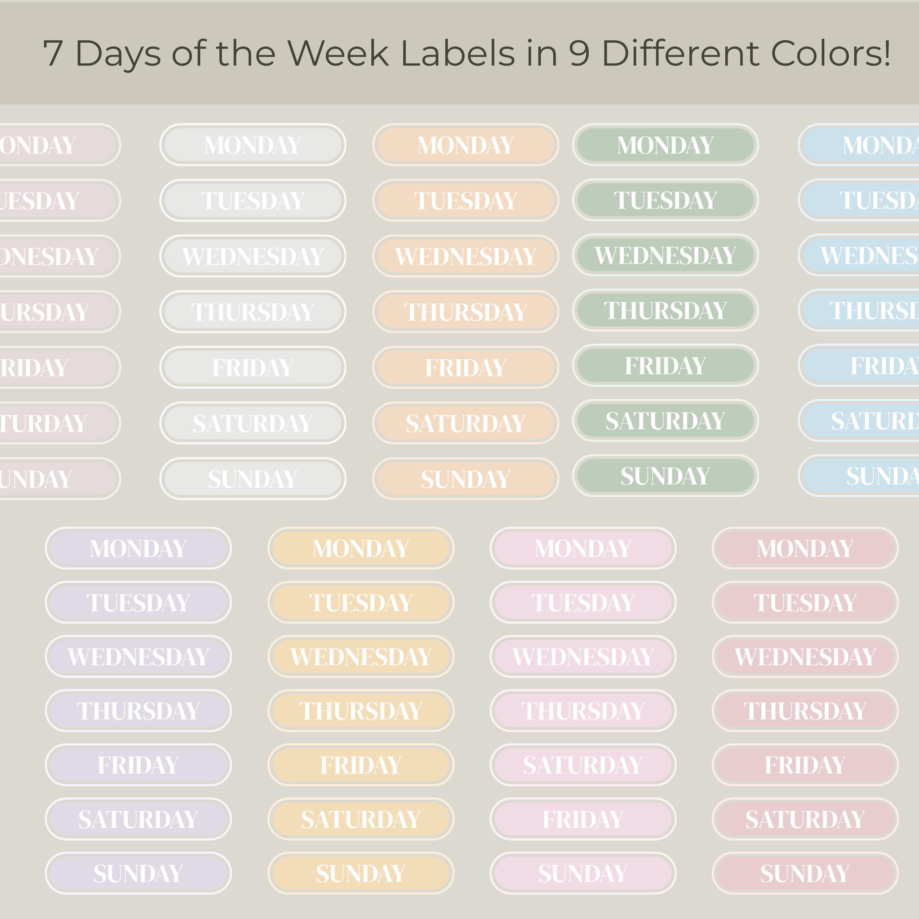 Color Coded Day of Week Notion Labels: Planner Icons & Headers (PNG ...