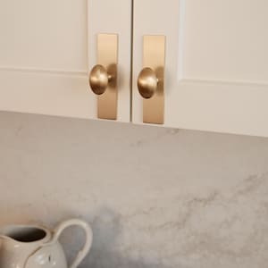 Solid Brass Oval Knob With Backplate | Egg Knob| Brass Rectangle ...