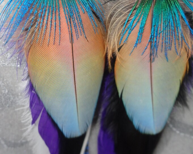 Feather Earrings Rare Tri-colored Macaw Parrot Feathers in - Etsy