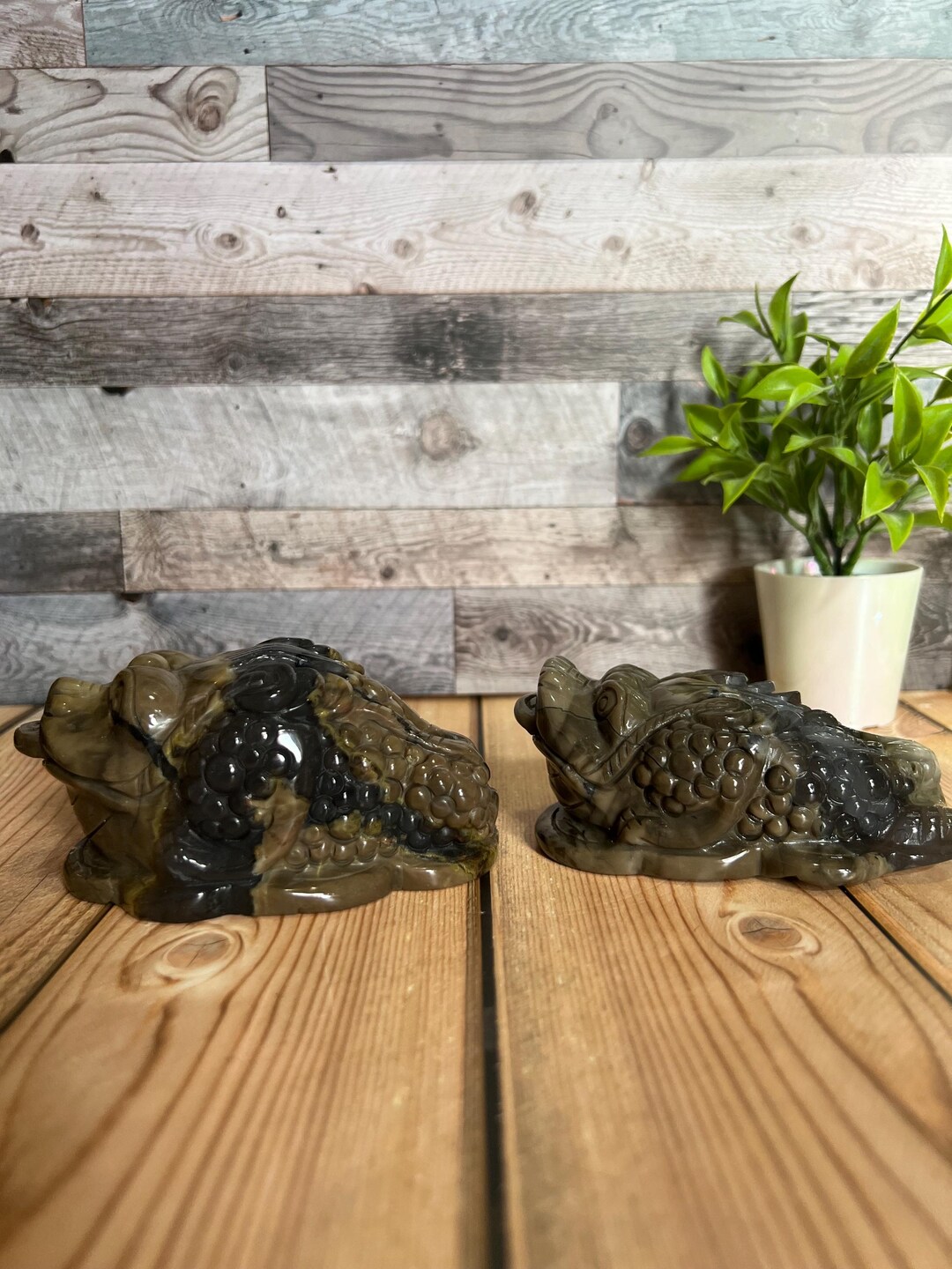 UV Reactive Volcano Agate Money Toad/jin Chan - Etsy