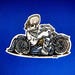 Riding Low Sticker, Lowrider Bike, Skeleton Riding Beach Cruiser - Etsy