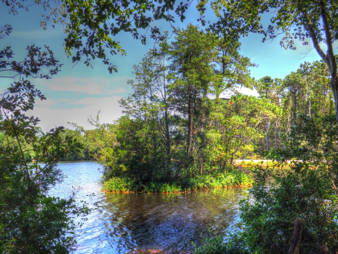 Island of Small Trees Surrounded by Water Hdr Image Print, Nature and ...