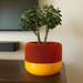 Modern Apple Homepod-style Plant Pot Vase – Minimalist & Elegant - Etsy