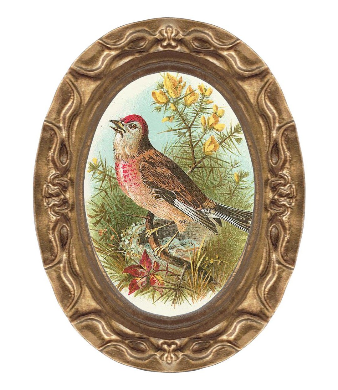 Songbird Bird Miniature Dollhouse Art Picture 8601 - Etsy