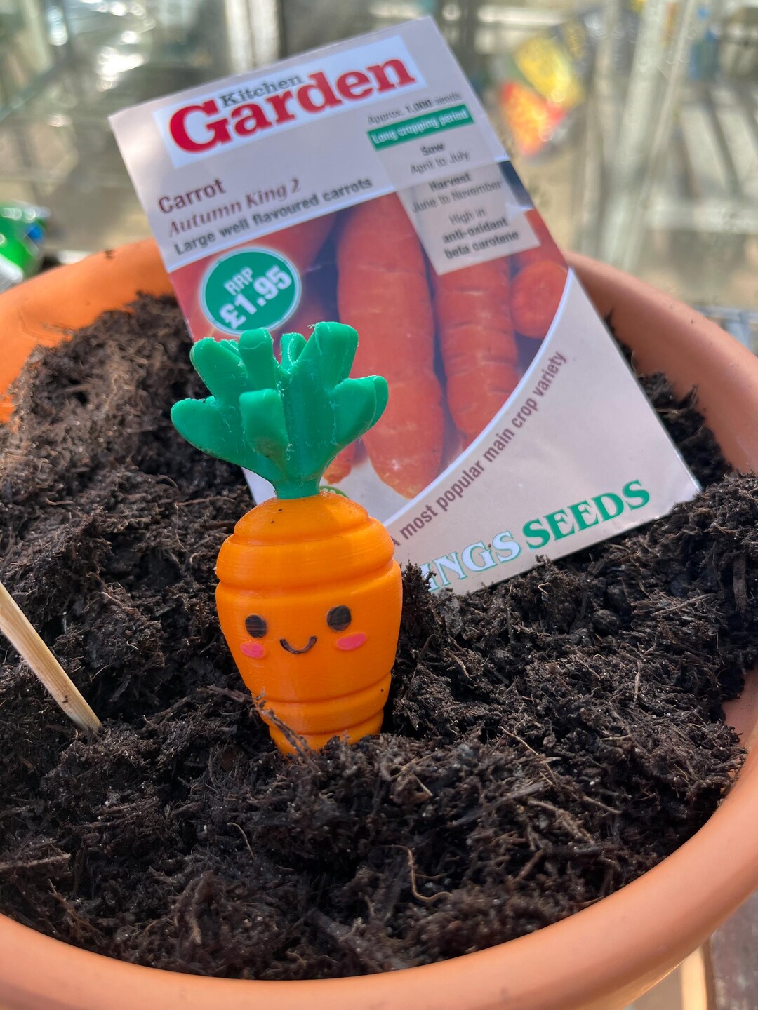 3d Printed Carrot Markers X2 - Includes Packet of Carrot Seeds - (9cm ...