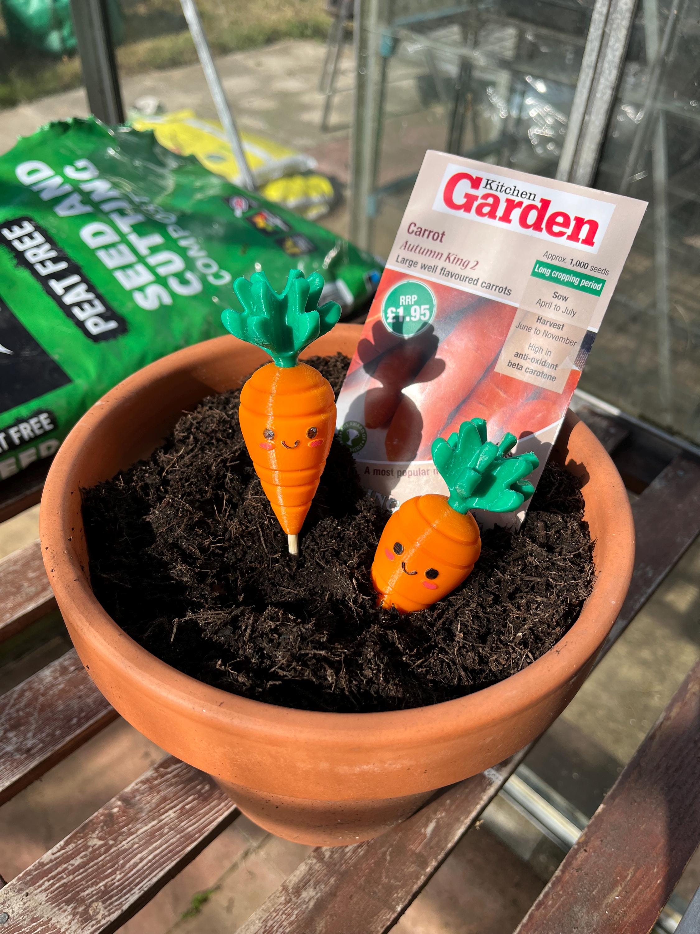3d Printed Carrot Markers X2 - Includes Packet of Carrot Seeds - (9cm ...
