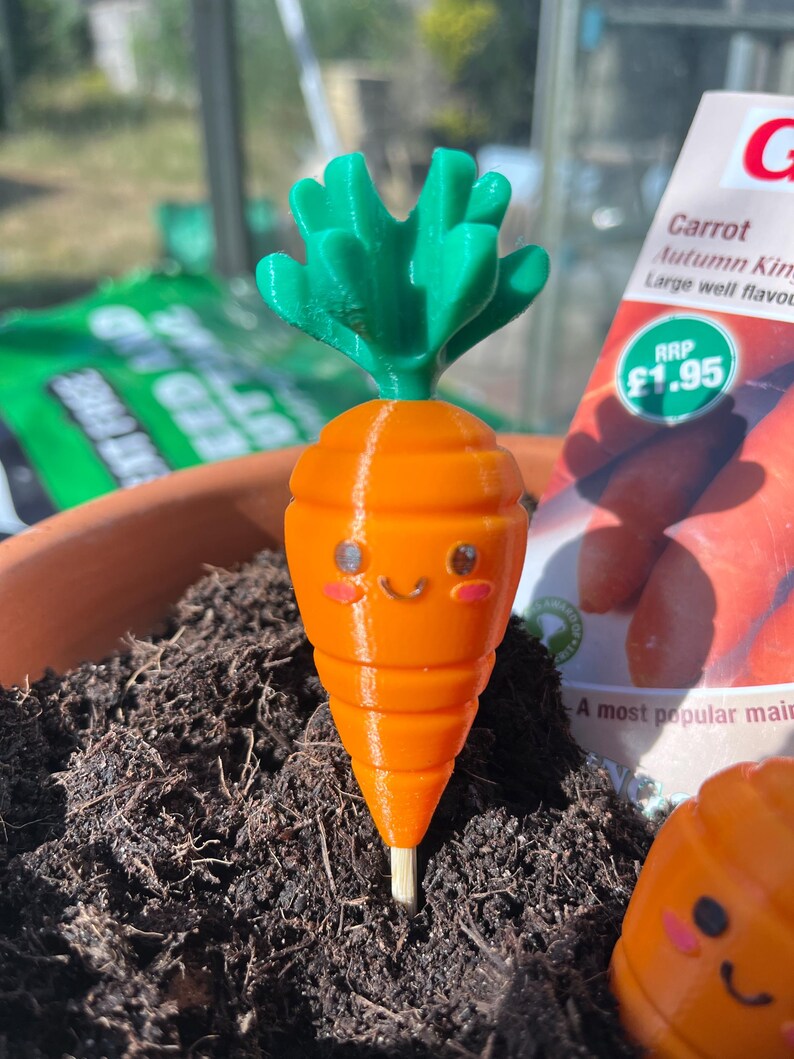 3d Printed Carrot Markers X2 - Includes Packet of Carrot Seeds - (9cm Height and 3cm Width ...