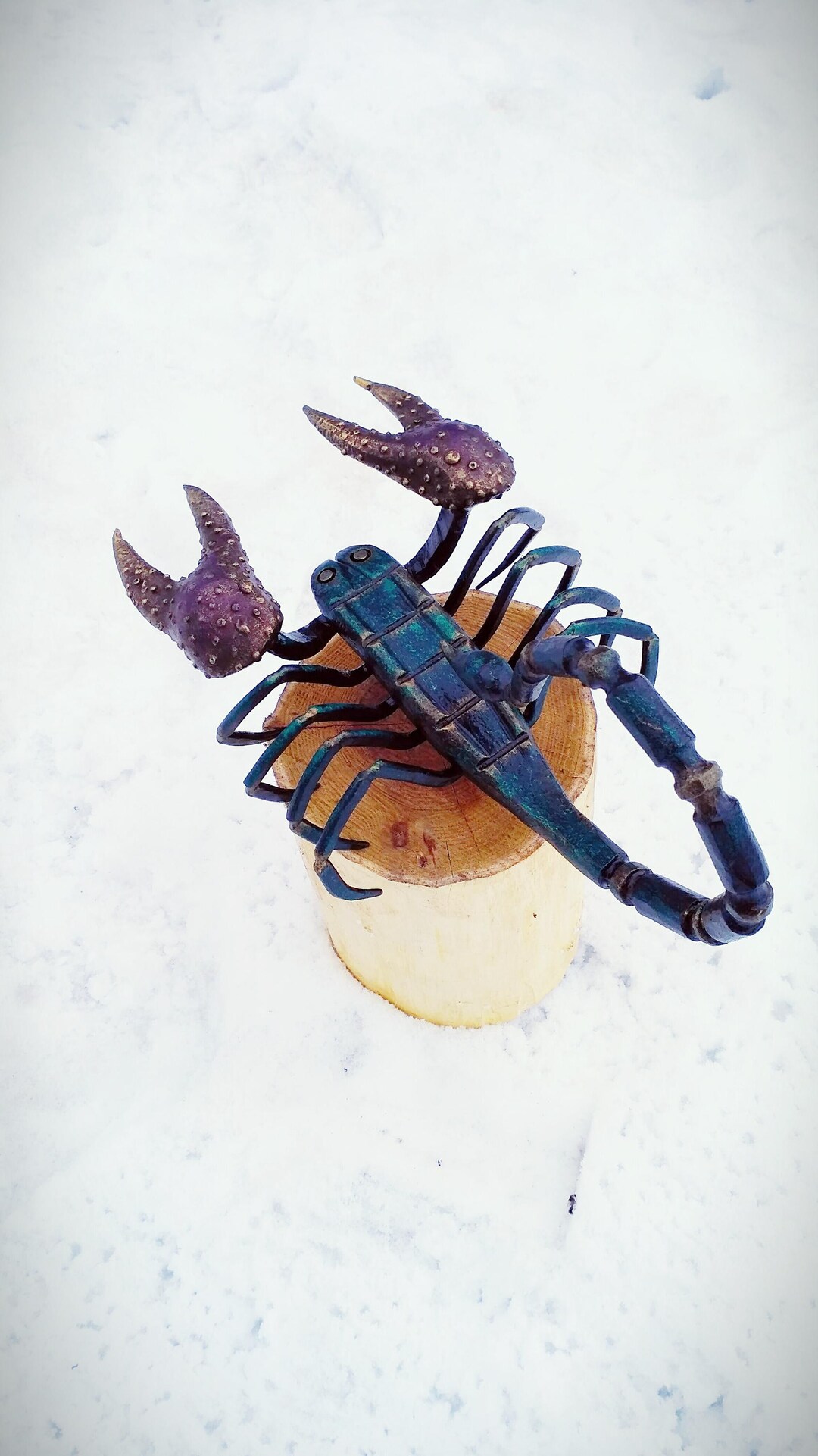 Forged Scorpion, Metal Scorpion, Scorpion Decor, Gothic Decor, Fantasy ...