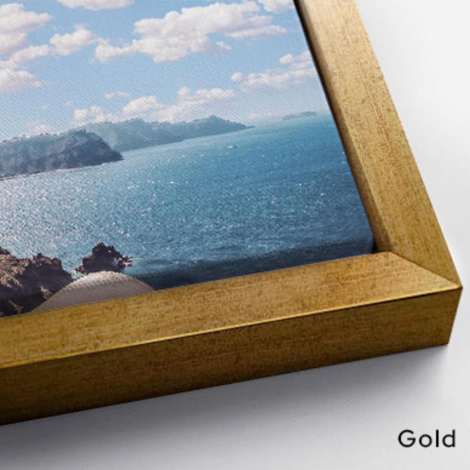 Stylish Framed Canvas Wall Art, Elegant Home Décor, Gift for Art Lovers ...