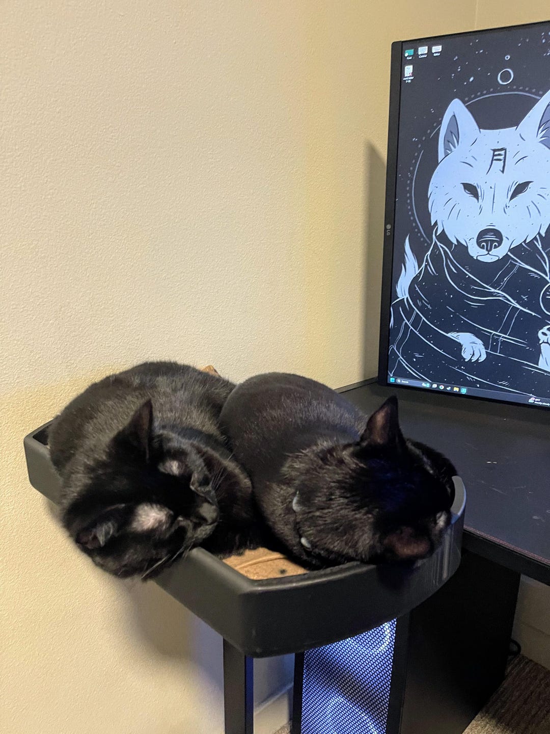 Catdock – Clamp-on Modular Cat Bed for Desks | Cat/small Pup Perch Add ...