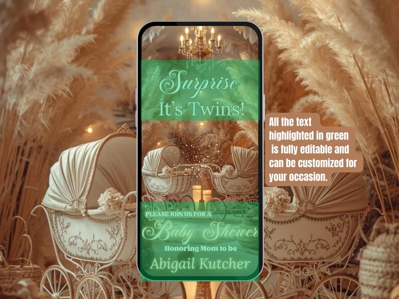 Boho Twin Baby Shower Video Invitation – Animated Envelope Reveal Canva ...