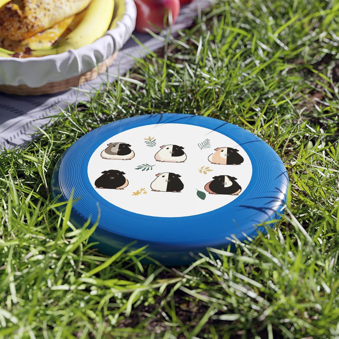 Frisbee, Summer Fun Outdoor Toy for Kids and Adults, Frisbee Disc With ...