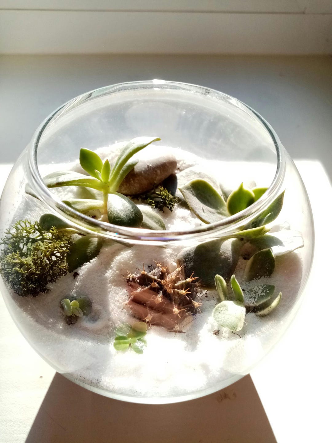 Miniature Indoor Garden Guide | DIY Terrarium Book | Step-by-step ...