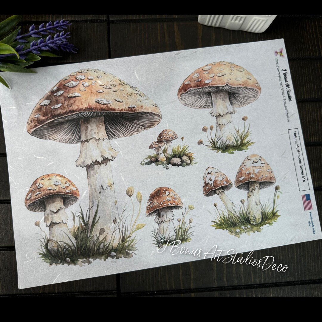 Mushrooms Decoupage A4 Rice Paper, Small DIY Craft Projects, Ephemera ...