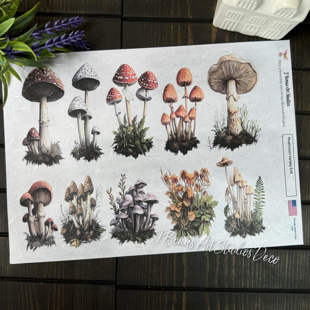Mushroom Variety Decoupage A4 Rice Paper, Small DIY Craft Projects ...