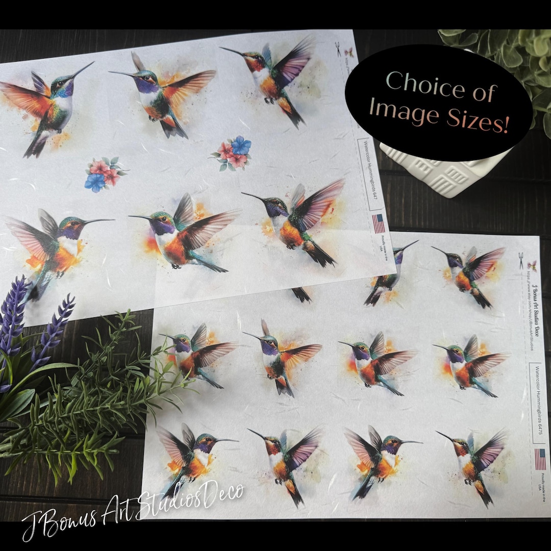 Hummingbird Decoupage Paper, Bird A4 Rice Paper for Small Craft Project ...