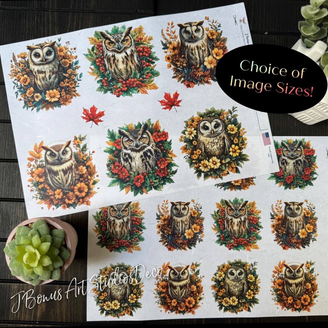 Owl Decoupage Paper, Autumn Small Craft Project A4 Rice Paper, Barn Owl ...