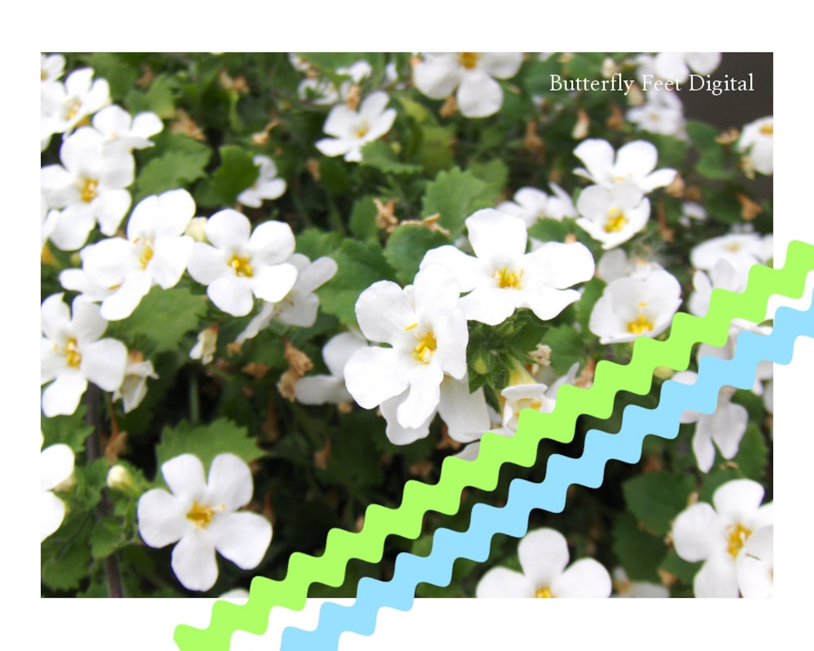 PNG Clipart Borders 28 Digital Ric Rac Borders Photo | Etsy