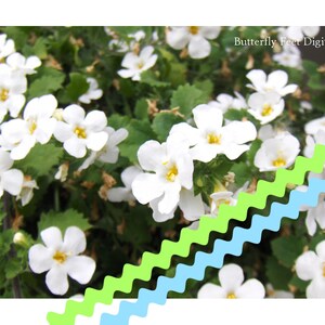 PNG Clipart Borders 28 Digital Ric Rac Borders Photo | Etsy