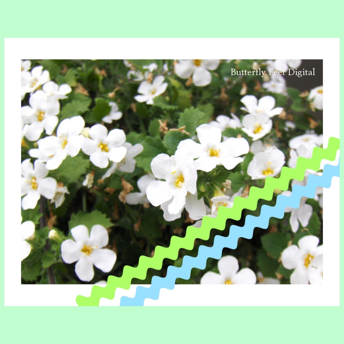 PNG Clipart Borders 28 Digital Ric Rac Ribbons Scrapbook Elements ...