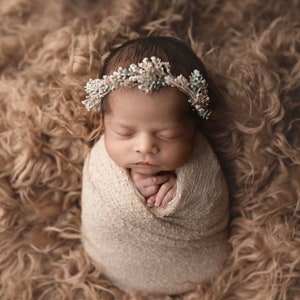 Linnet Neutral Ivory Organic Succulent Baby Breath Moss Vintage Flower ...