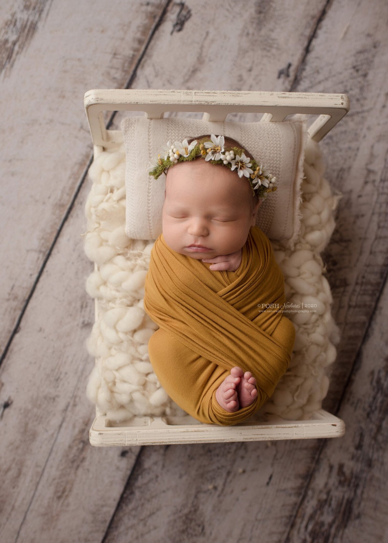 Daisy Moss and Daisey Flower Crown for Newborn Photography Props ...