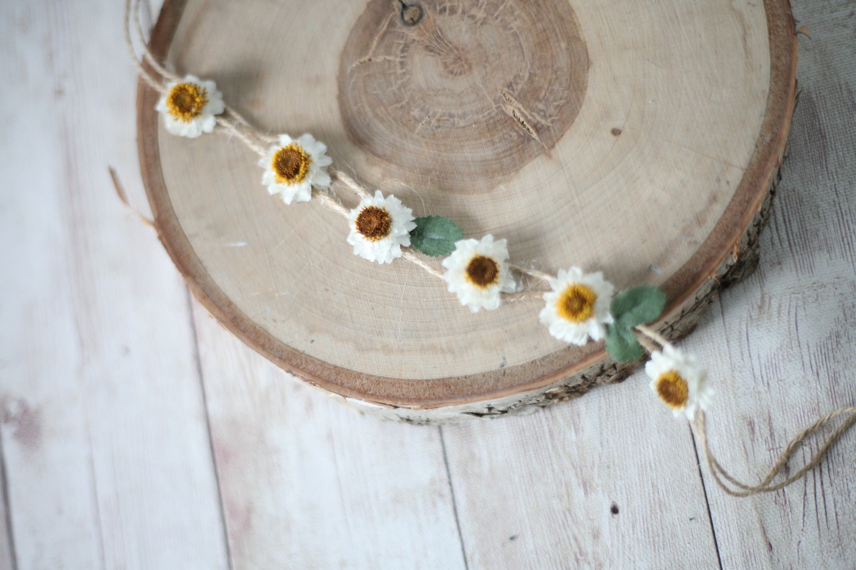 Aster Neutral Ivory Organic Dried Flower Sunflower Daisy Crown - Etsy