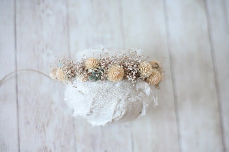 Amala Neutral Ivory Dried Organic Succulent Baby Breath Moss Vintage ...