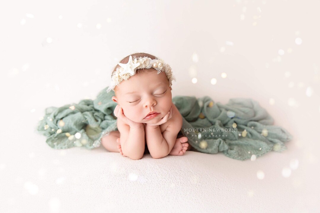 Seastar Starfish Shells Crown Baby's Breath Ivory Neutral Organic ...