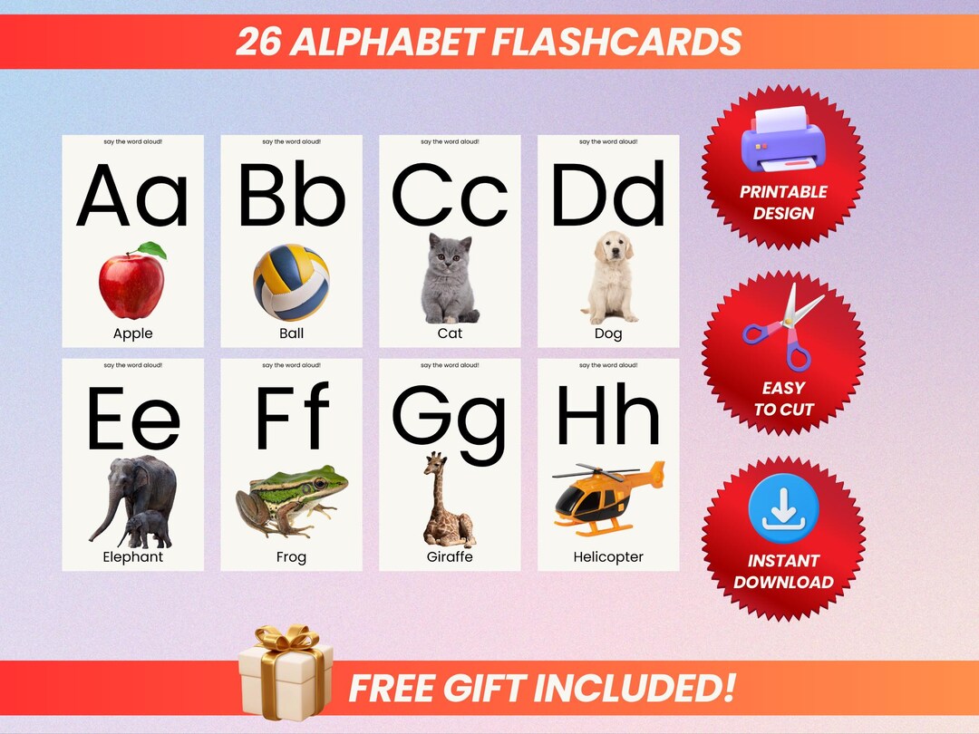 Montessori Alphabet Flashcards With Picture, ABC Learning Cards for ...