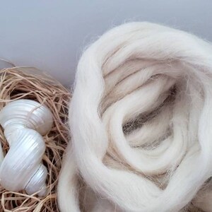 Devon Closewool, RBST Registered Rare Breed Wool - Etsy