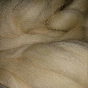 Devon Closewool, RBST Registered Rare Breed Wool - Etsy