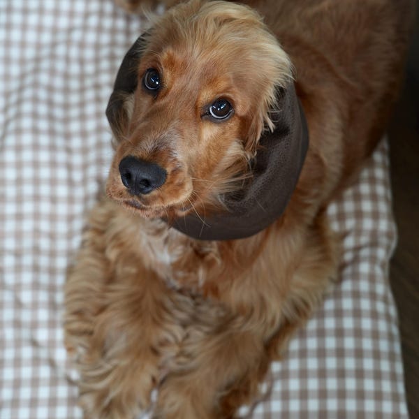 Cocker Spaniel - Etsy