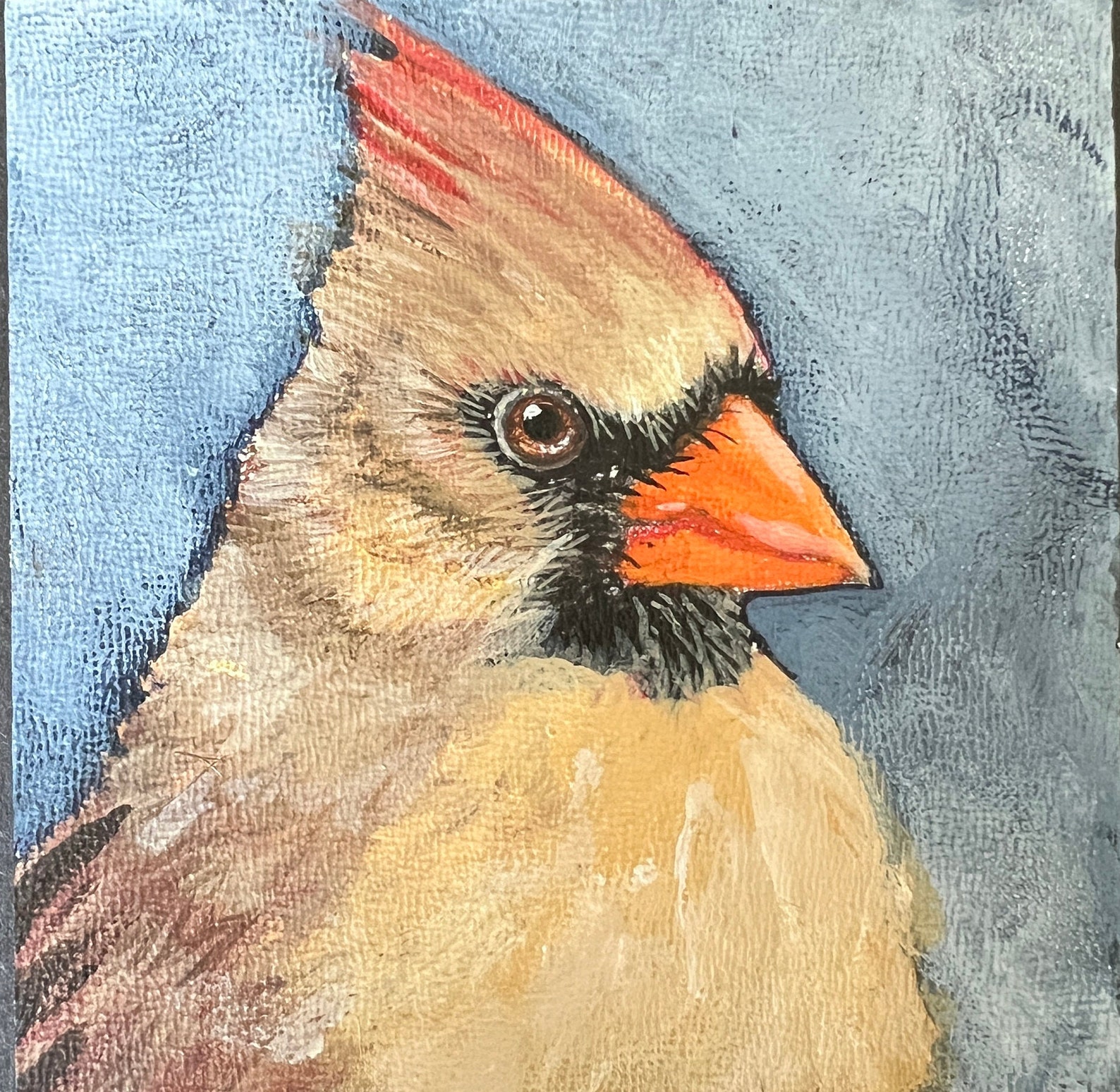 Cardinal Original Female Cardinal Painting Portraits 4" X 4" Acrylic on ...
