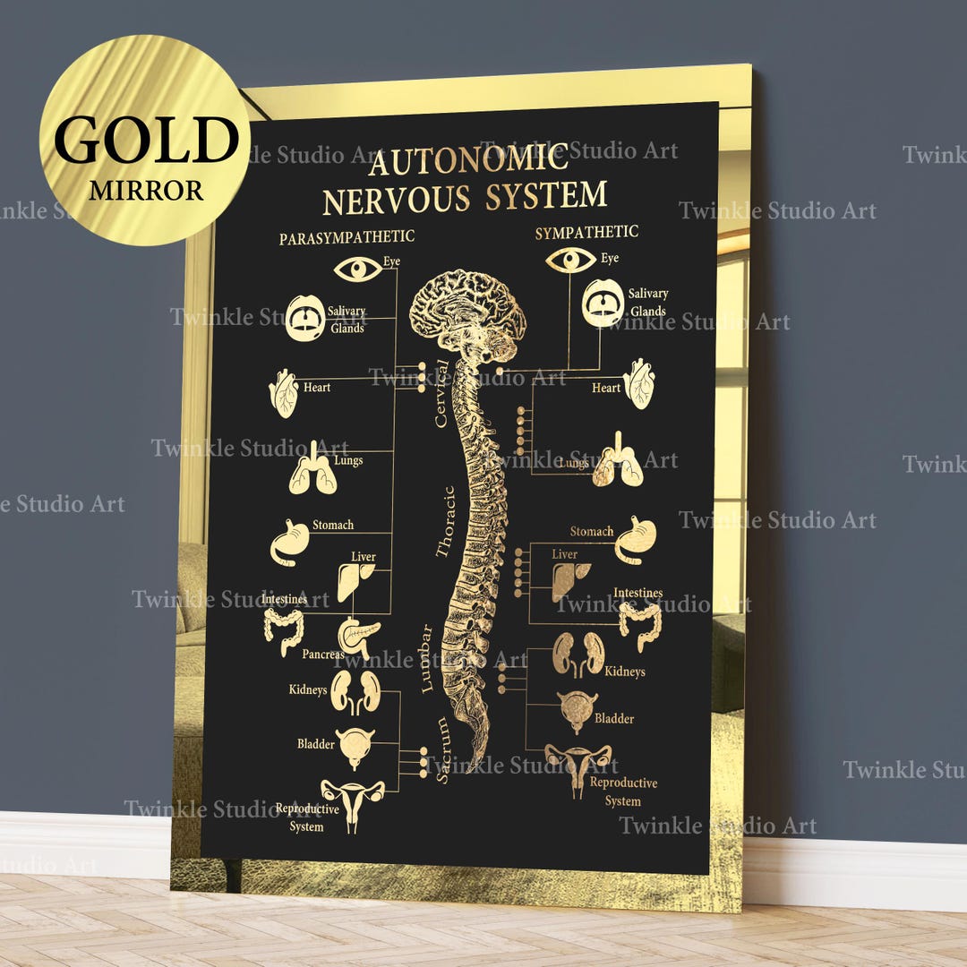 Gold Anatomy Art Nervous System Art Neurology Art Brain Art Spinal Cord ...