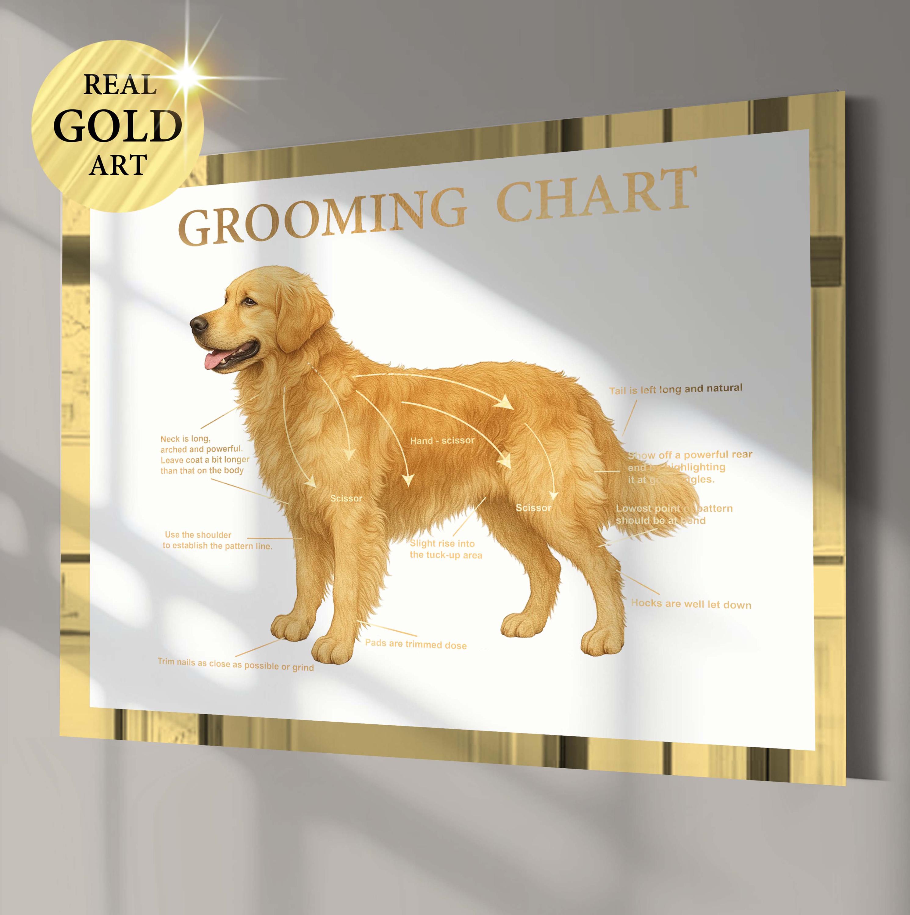 4 Pet Grooming Posters Dog Trimming Chart Dog Coats Types Grooming ...