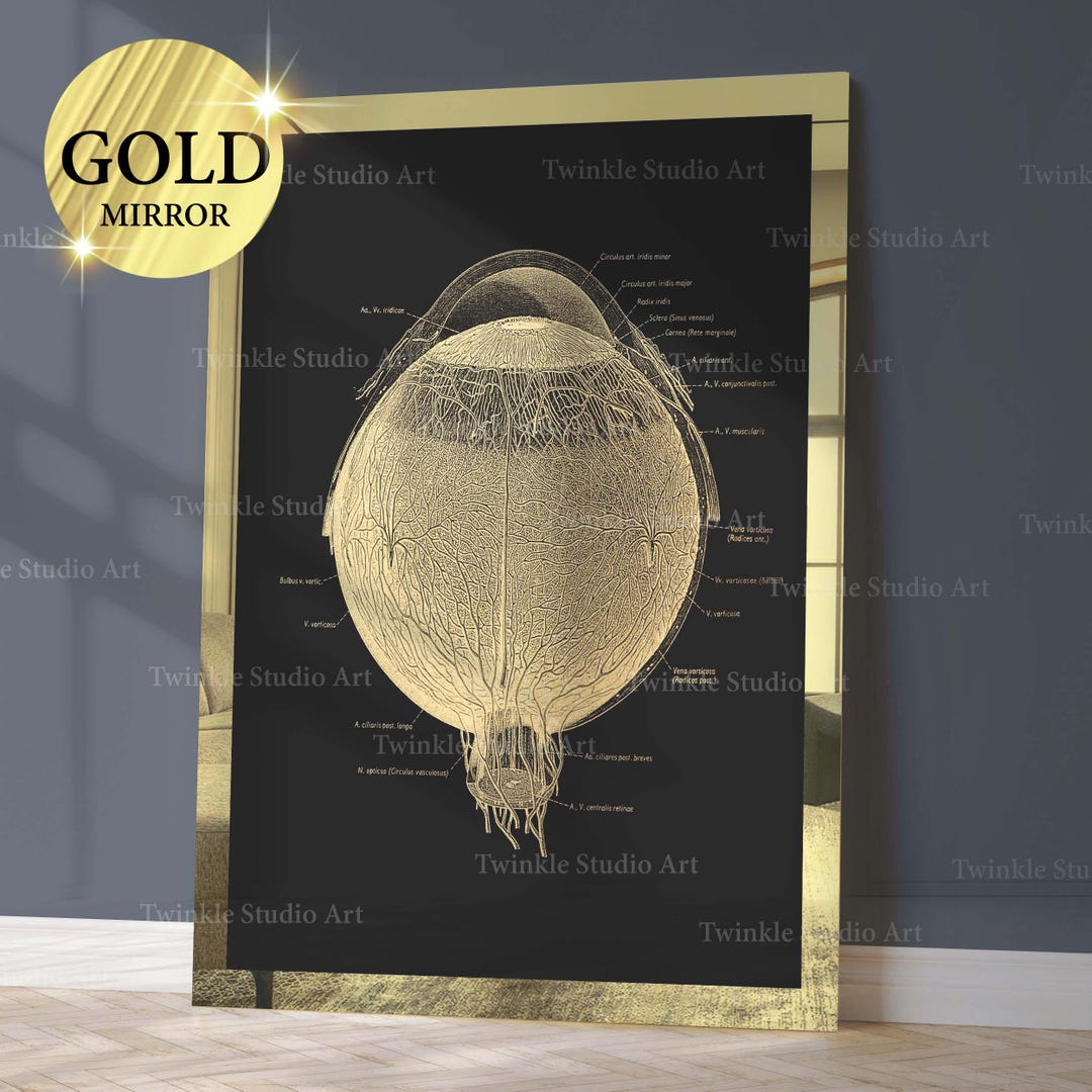 Eye Anatomy Art Ophthalmology Art Optician Gift Medical Art Optometric ...