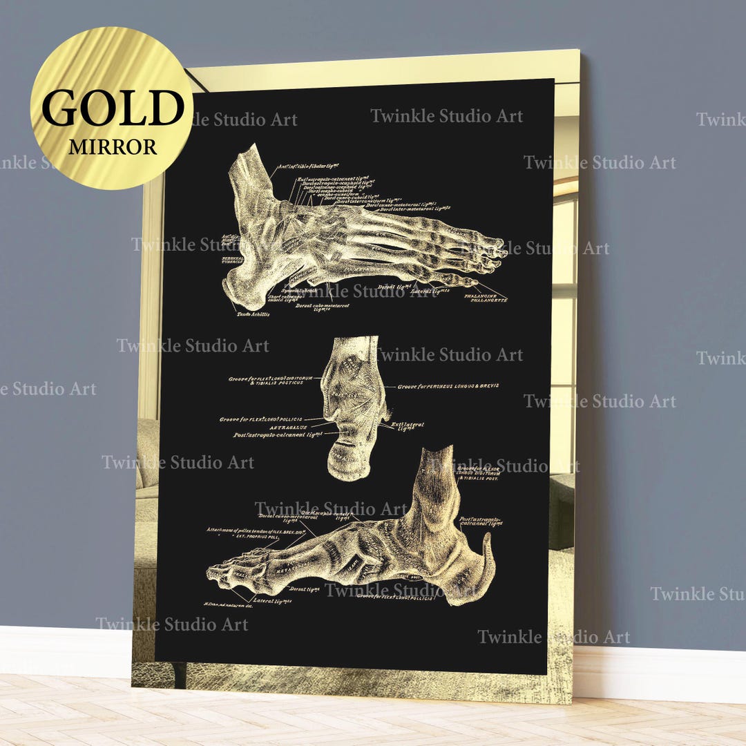 Gold Foot Anatomy Poster Podiatry Art Medical Art Orthopedic Poster ...