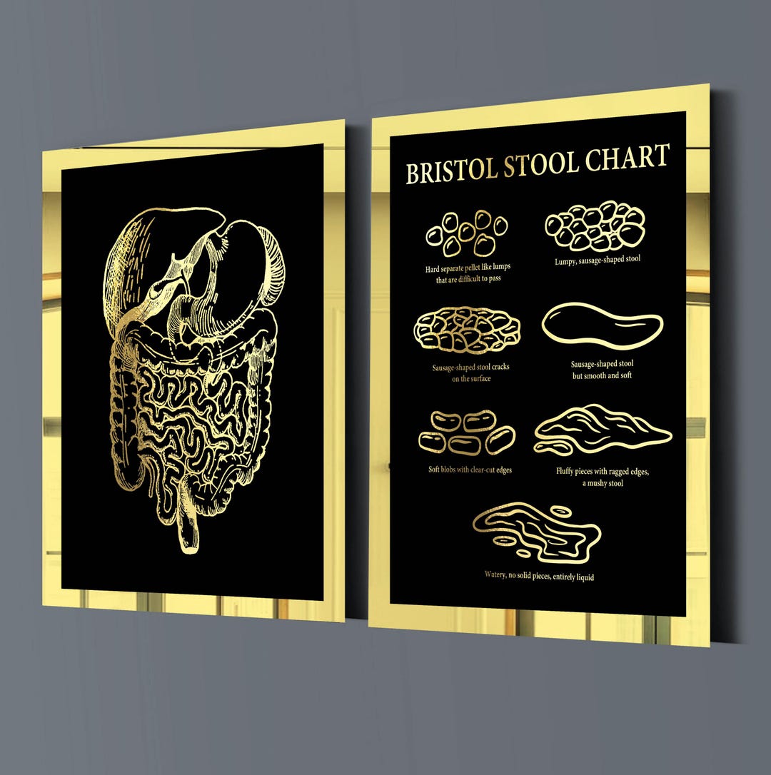 2 Digestive System Anatomy Poster Bristol Stool Chart ...