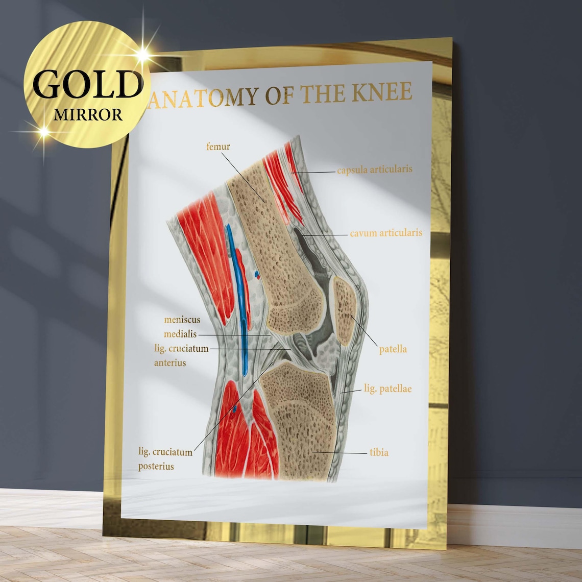 Knee Anatomy Poster Knee Joint Diagram Orthopedics Art Medical Art ...