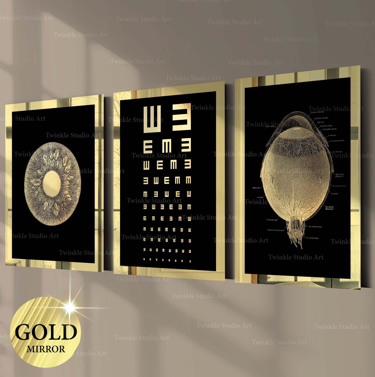 3 Optometry Art Eye Anatomy Art Pupil Art Eyeball Art Ophthalmology Art Eye Diagnostics Optician ...