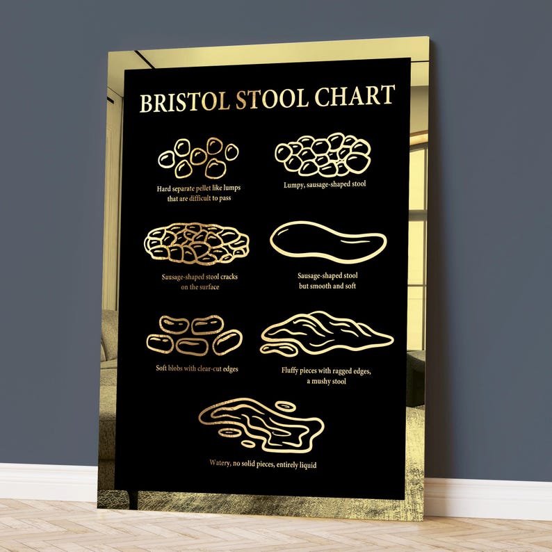 2 Digestive System Anatomy Poster Bristol Stool Chart ...