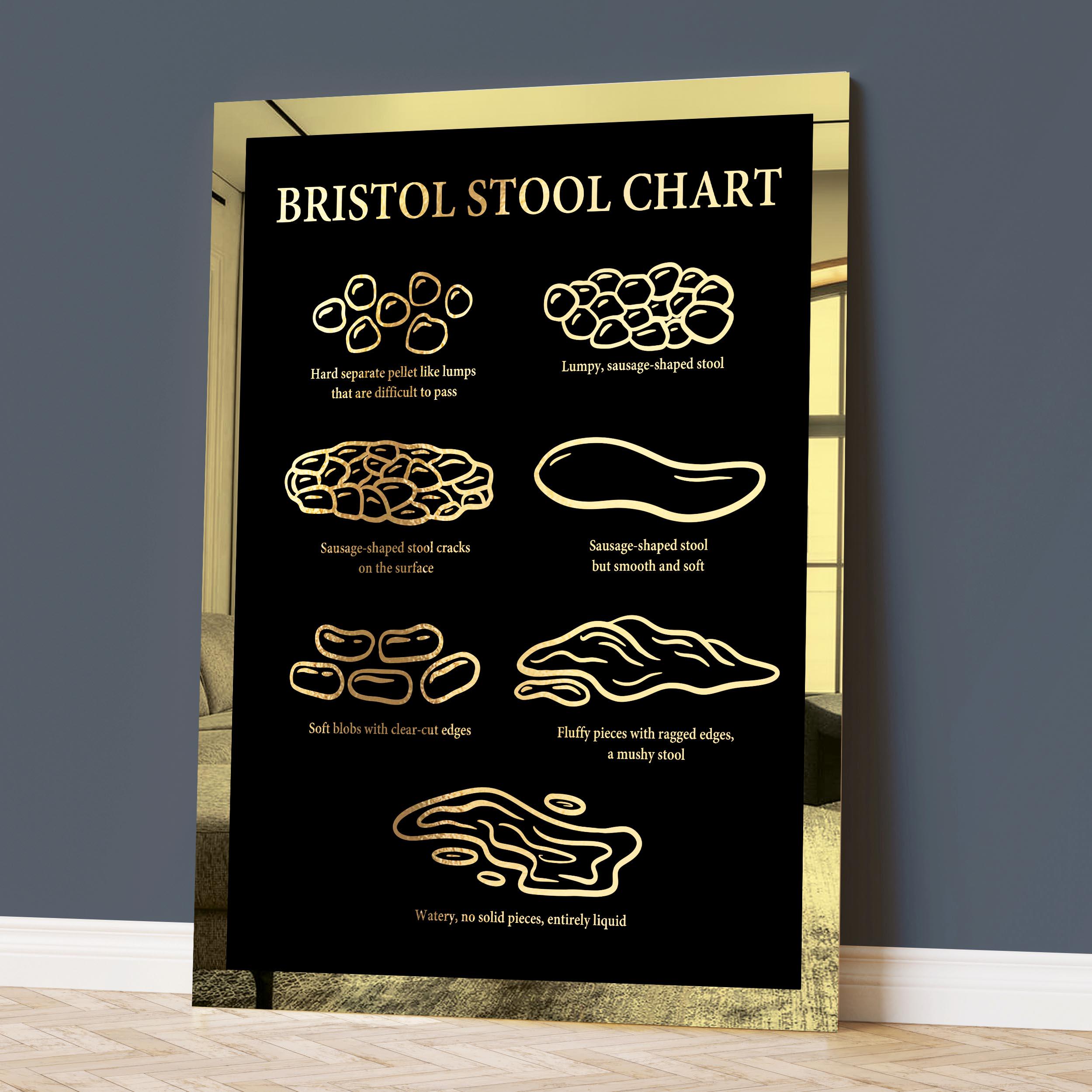 2 Digestive System Anatomy Poster Bristol Stool Chart ...