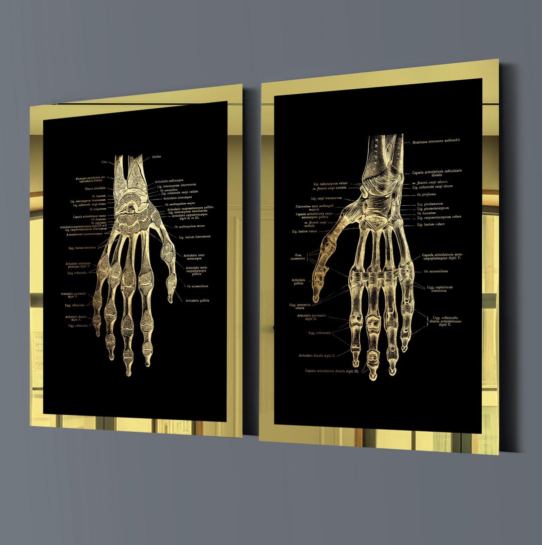2 Gold Hand Anatomy Poster Hand Bones Diagram Clinic Wall Decor Medical ...