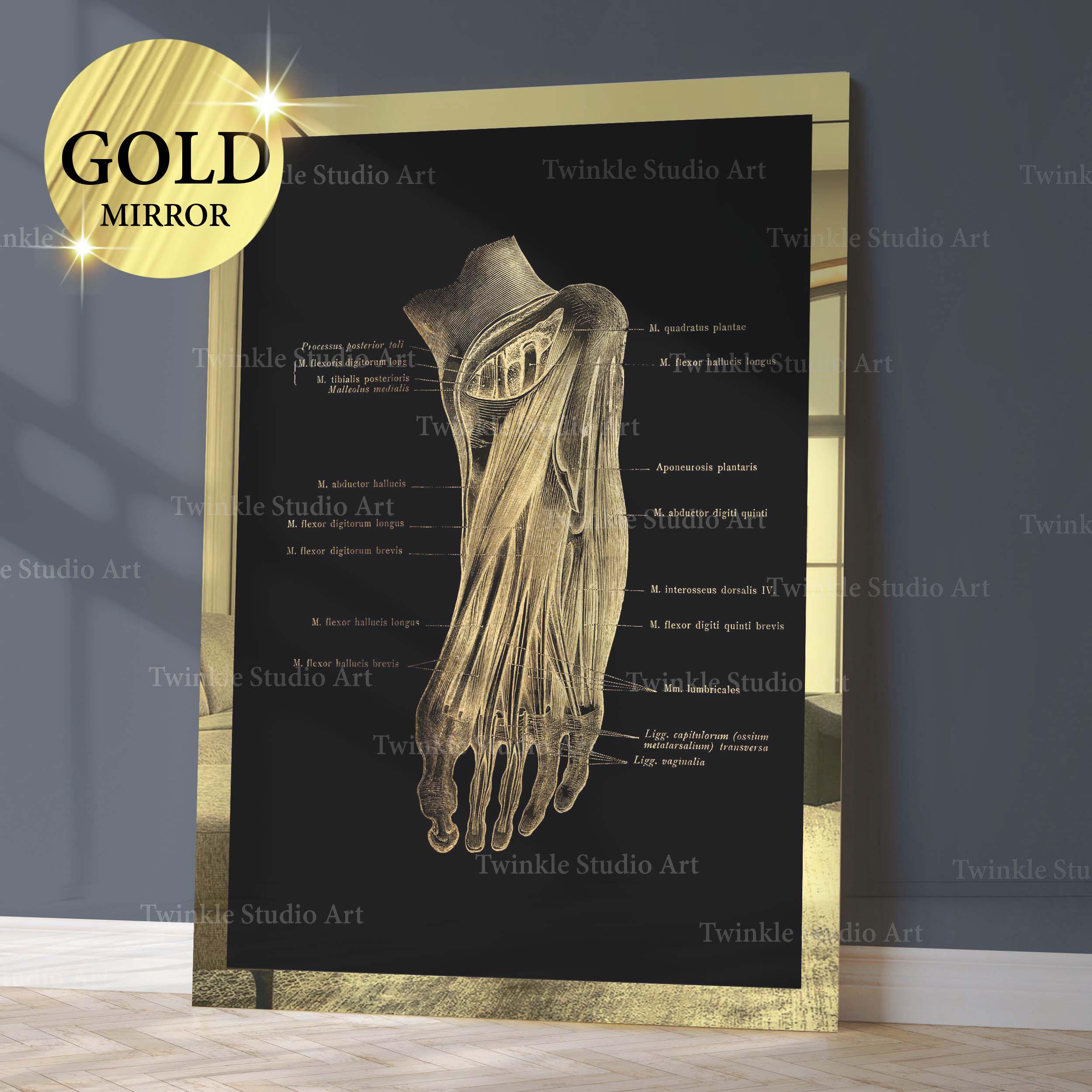 3 Gold Foot Anatomy Posters Foot Muscles Diagram Podology Art Medical ...