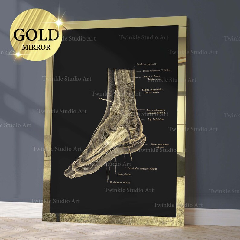 3 Gold Foot Anatomy Posters Foot Muscles Diagram Podology Art Medical ...