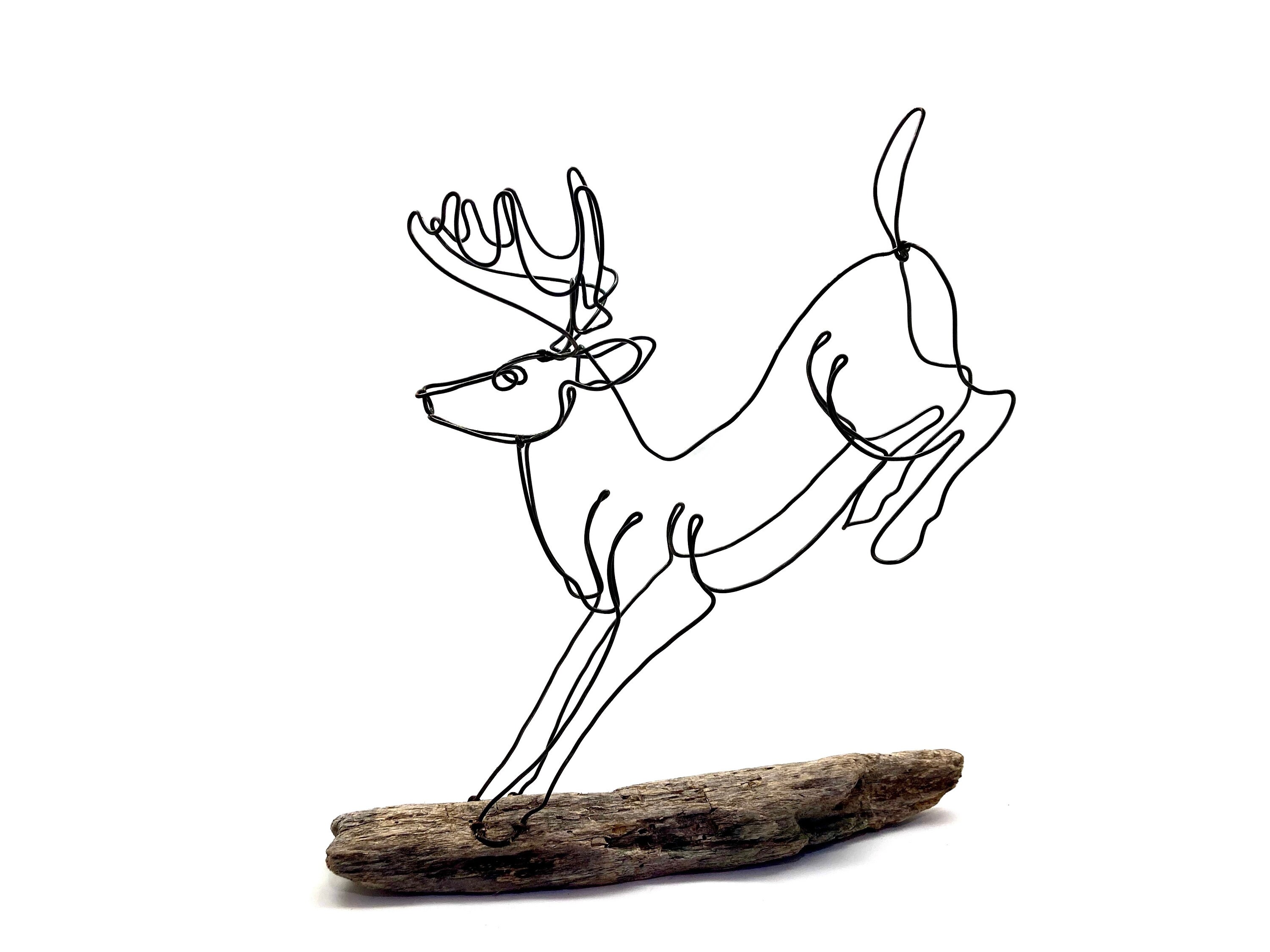 Shop — Wired by Bud