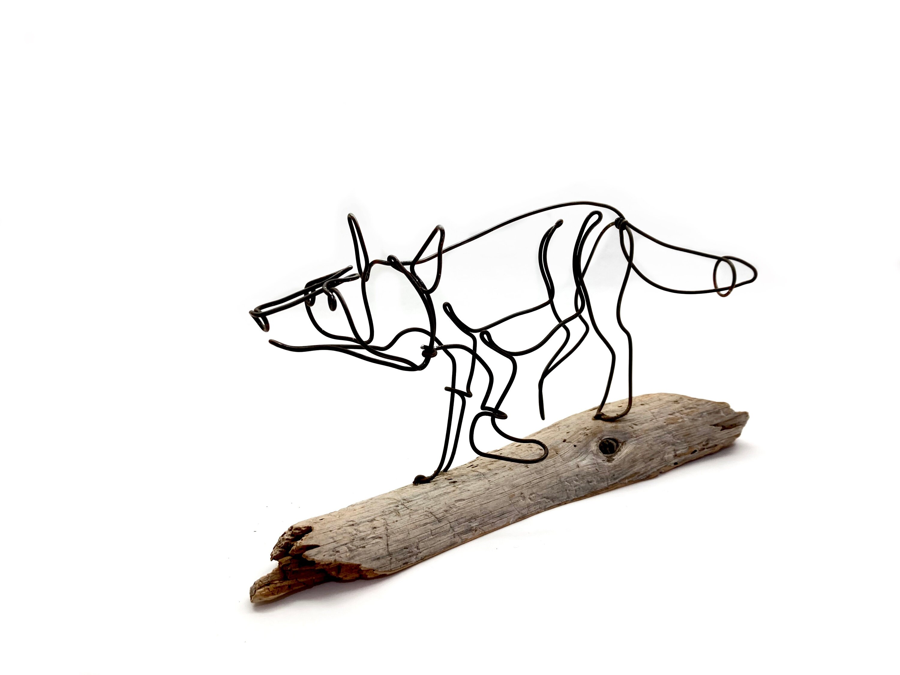 Shop — Wired by Bud