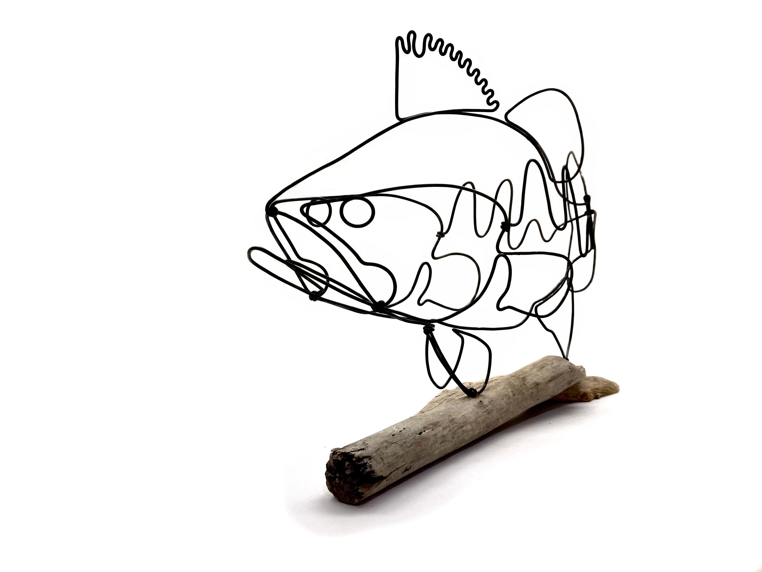 Shop — Wired by Bud