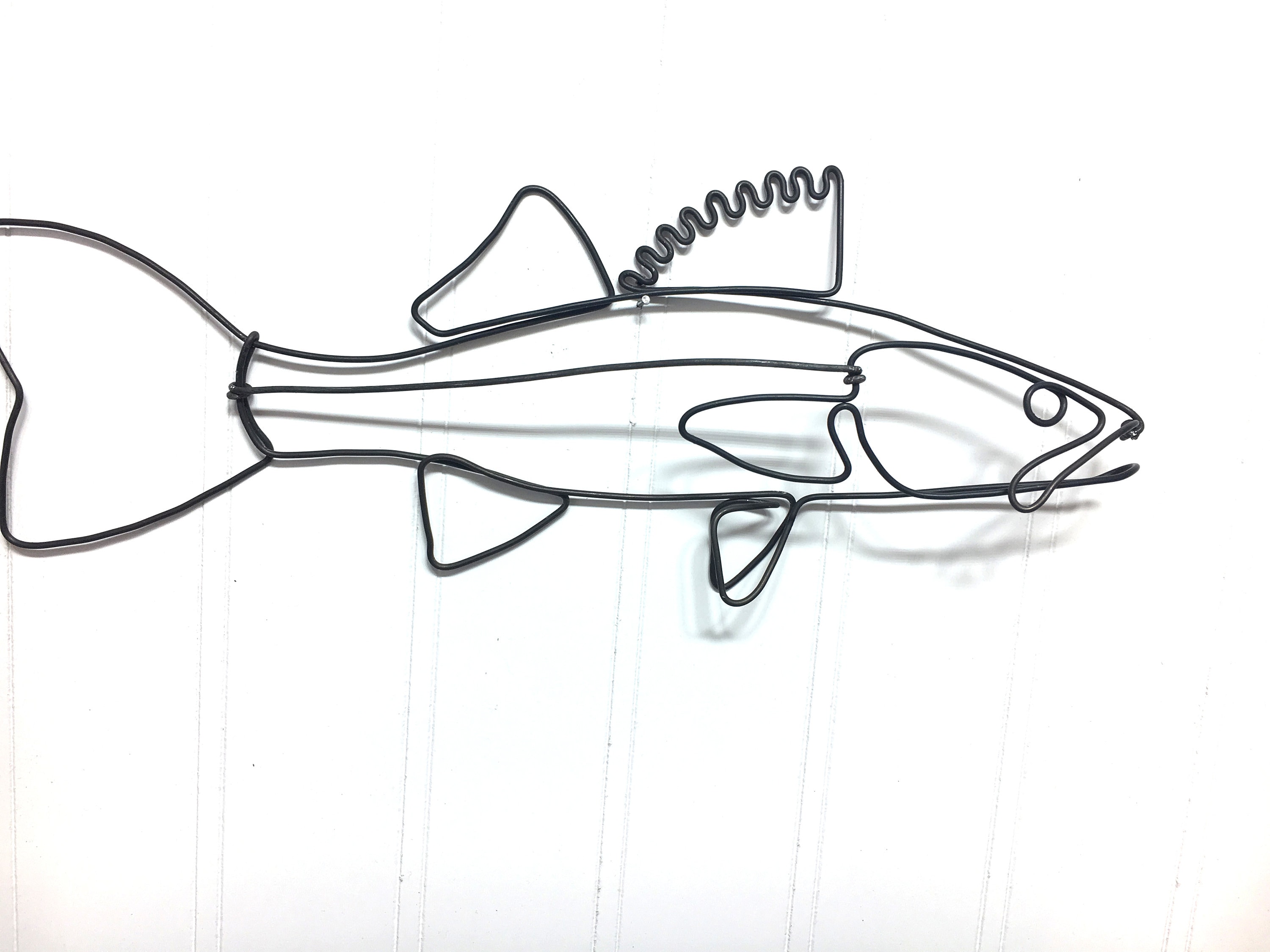 Shop — Wired by Bud